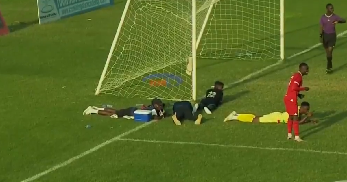 Roj pčela napao fudbalere tokom utakmice | Sportal.rs