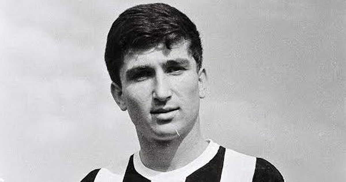 Mujo kuje golove u raju | Sportal.rs