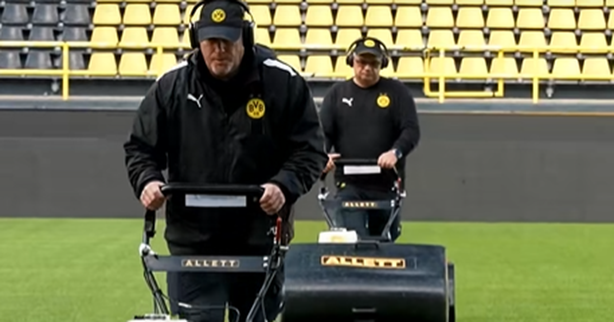 Borusija Dortmund objavila TikTok sa srpskom pesmom | Sportal.rs