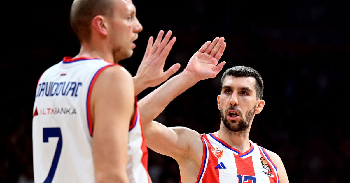 Ognjen Dobrić novi kapiten KK Crvena zvezda | Sportal.rs