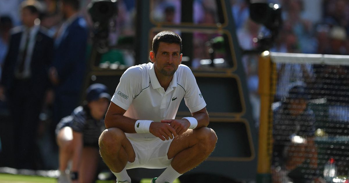 Novak Djoković i ATP lista na dan starta Vimbldona | Sportal.rs