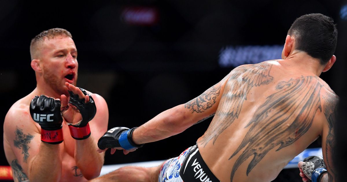 Mks Holovej izveo jedan od najboljih nokauta u istoriji MMA | Sportal.rs