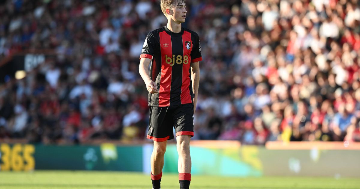 Din Hojsen dogovorio transfer u Real Madrid | Sportal.rs