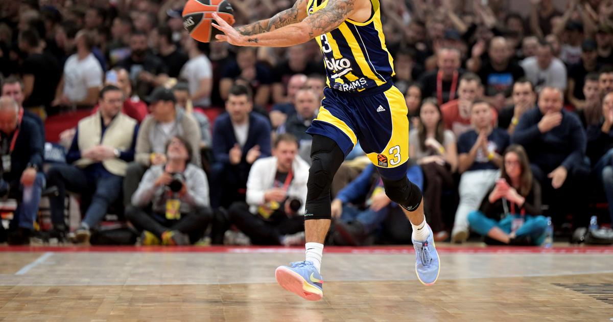 Skoti Vilbekin igra na meču Fenerbahče Zvezda | Sportal.rs