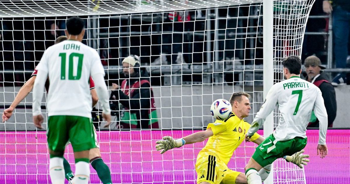 Hej, Irska je u baražu! Priča o papagaju što leti više i od orla ...