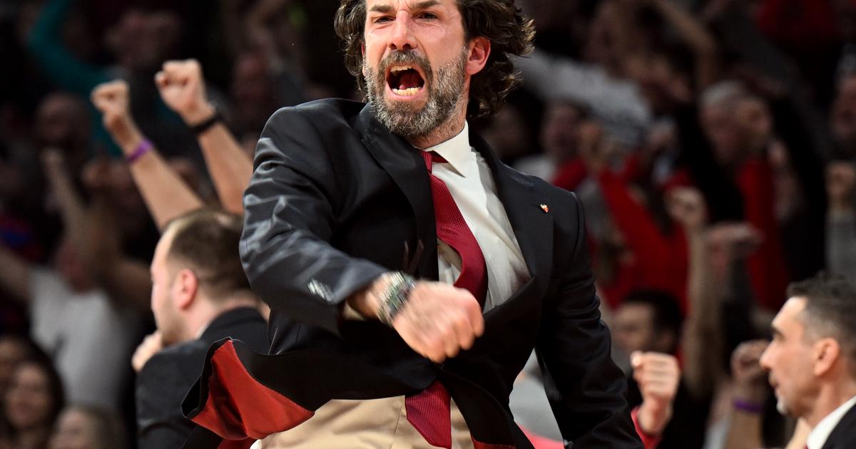 Tomislav Tomović govorio pred meč Fenerbahče Zvezda | Sportal.rs