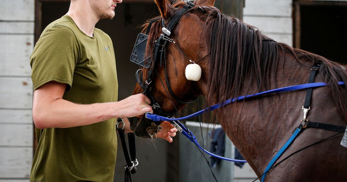 Nikola Jokić se igrao ćorave bake u Bugarskoj, završilo se povredom ...