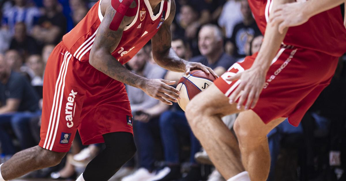 Crvena zvezda sprovodi anketu pred Panatinaikos | Sportal.rs