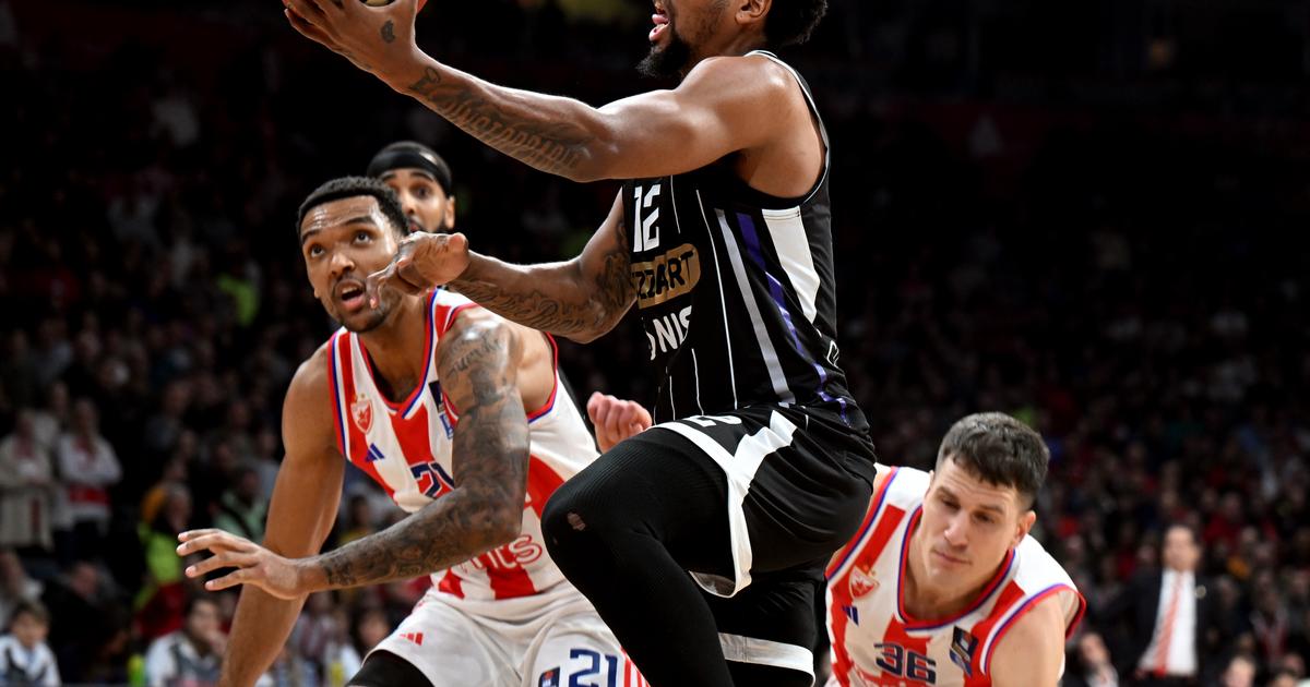 Crvena zvezda, Partizan i Milvoki Baks imaju posebnu poveznicu | Sportal.rs