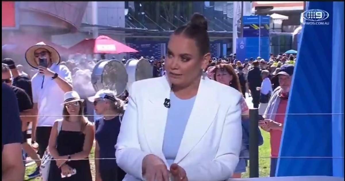 Jelena Dokić i Džon Mekinro osudili zvižduke Novaku Djokoviću | Sportal.rs