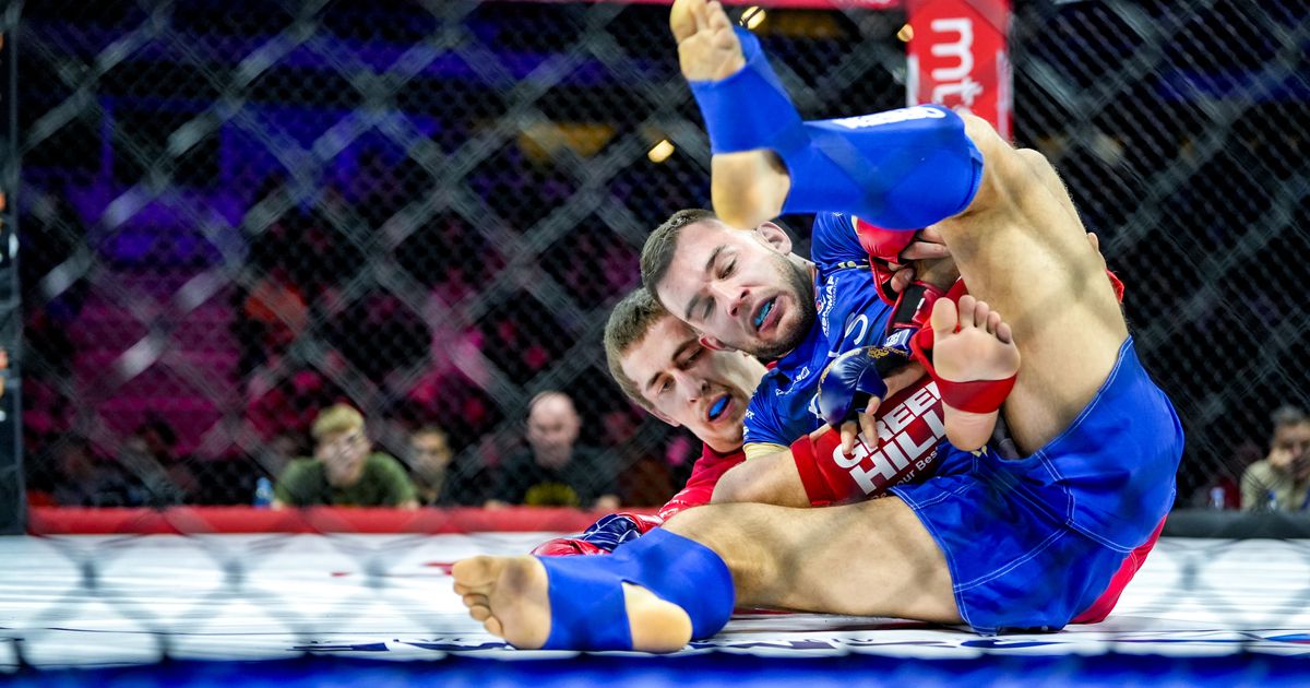 Kup Srbije: Kruna uspešne godine za srpski MMA sport! | Sportal.rs