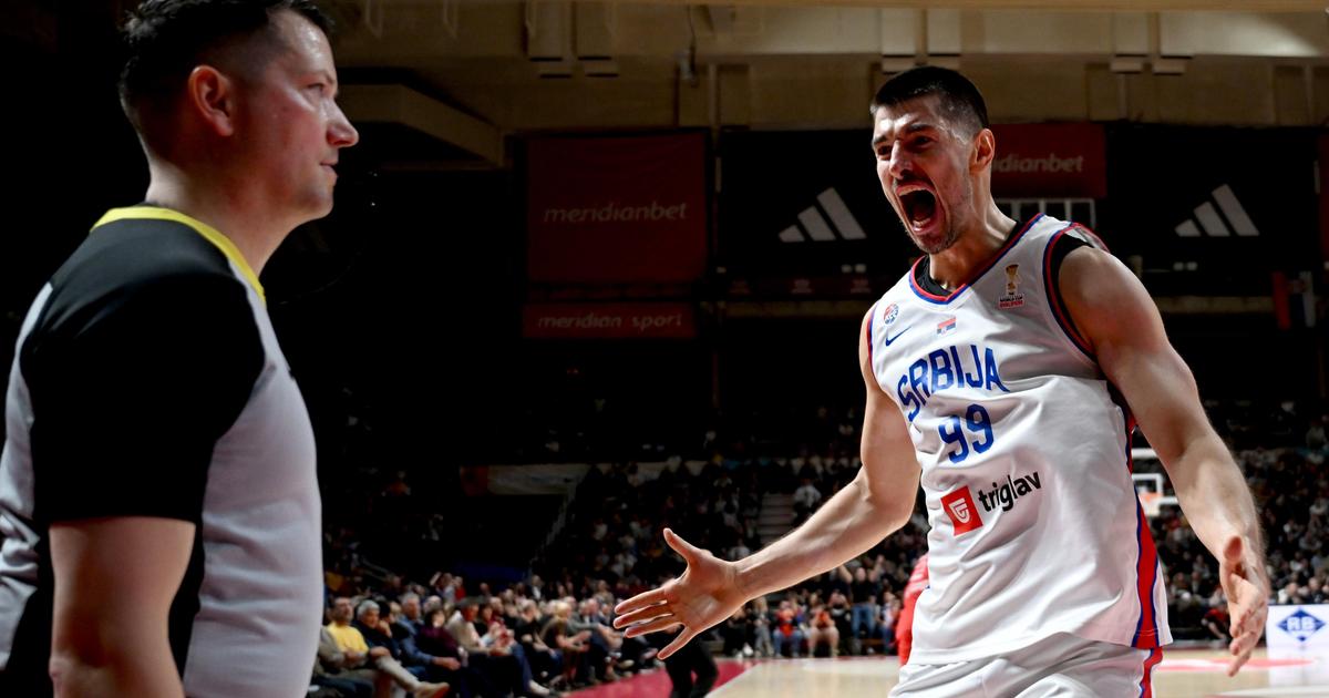 Sramne sudijske odluke na utakmici Srbija Turska | Sportal.rs
