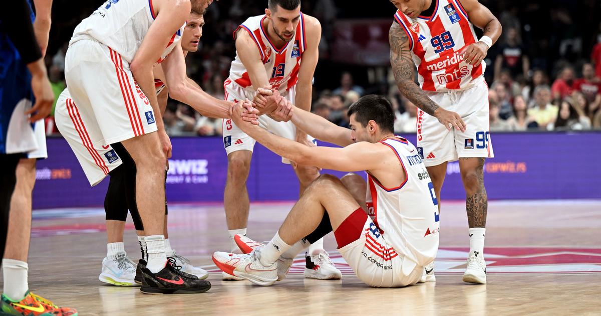 Luka Mitrović napustio KK Crvena zvezda | Sportal.rs