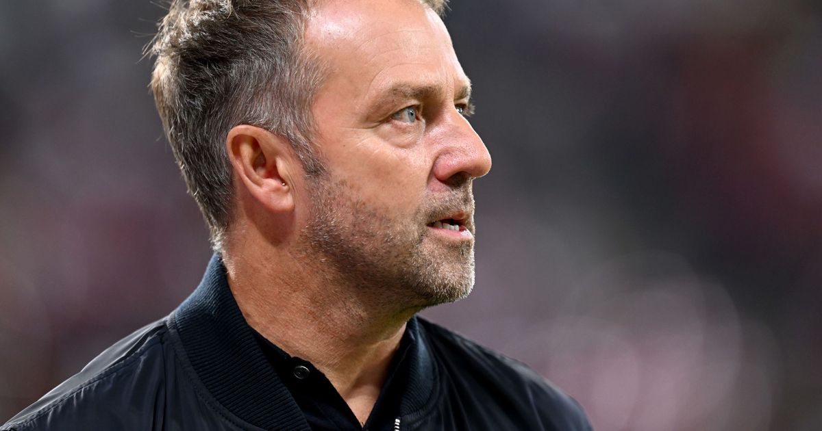 Ezt kapta a fejére a német sajtótól a szövetségi kapitány: „Hansi, ez ...